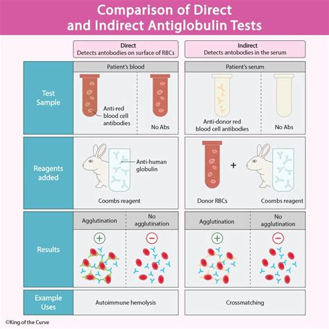 🧪 Understanding Direct Vs Indirect Antiglobulin Tests Coombs Tests