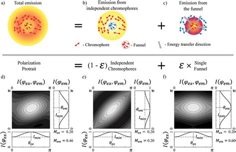 Single Funnel Approximation Top Definition Of The Energy Funneling Download Scientific