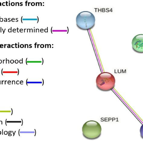 Protein Protein Pathway Analysis Illustrating Significantly