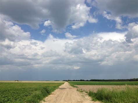 무료 이미지 경치 수평선 습지 구름 하늘 들 목초지 대초원 바람 수확고 적운 농업 평원 생태계 스텝 농촌 지역 논 기상 현상 잔디 가족