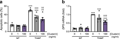 Recombinant Clusterin Protects Human Beta Cells Against Download Scientific Diagram