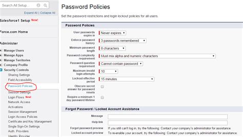 Password Policies At Profile Level Salesforce Tutorial Intervew