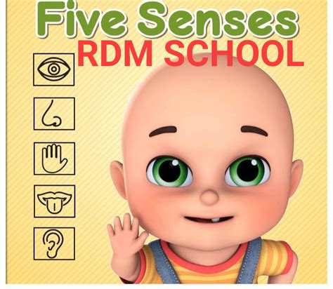 Lets Learn About Senses There Are Rdm School Chhibramau Facebook