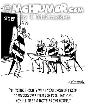 Sex Education Cartoons
