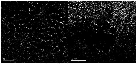 Method For Detecting Mercury Ions Eureka Patsnap Develop Intelligence Library