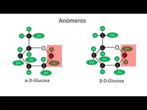 Diferencia Entre La Glucosa Alfa Y Beta Diferencia Entre 2024