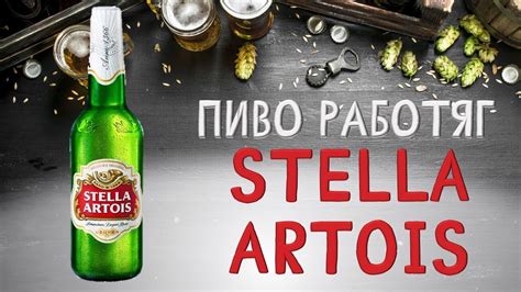 Неплохое пиво для трудоголиков ! Честер пробует Стеллу Артуа ! - YouTube