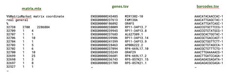 Chapter 3 Seurat Pbmc3k Tutorial Scrnaseq Analysis In R With Seurat
