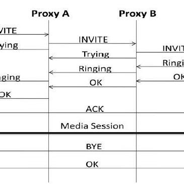 Proxy Model Of Operation Download Scientific Diagram