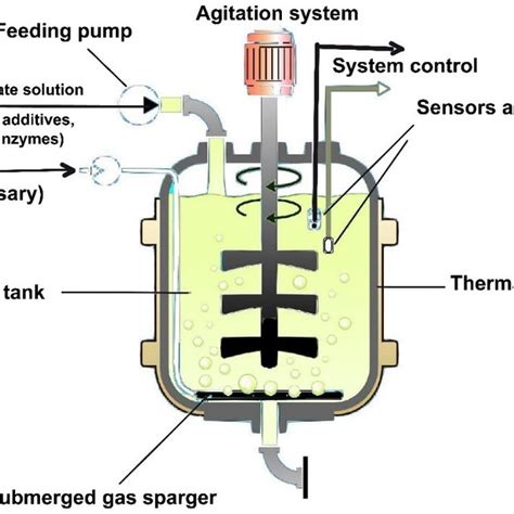 PDF Multiobjective Optimization Of A Fed Batch Bienzymatic Reactor For Mannitol Production