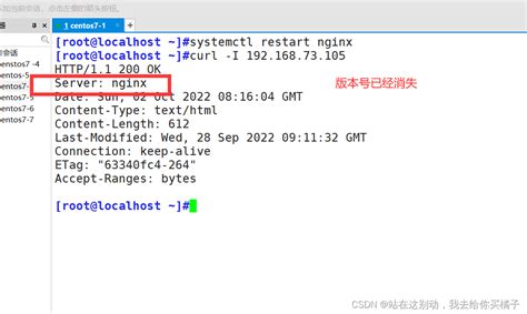 Nginx的优化安全与防盗链 nginx 编译安装防盗链模块 CSDN博客