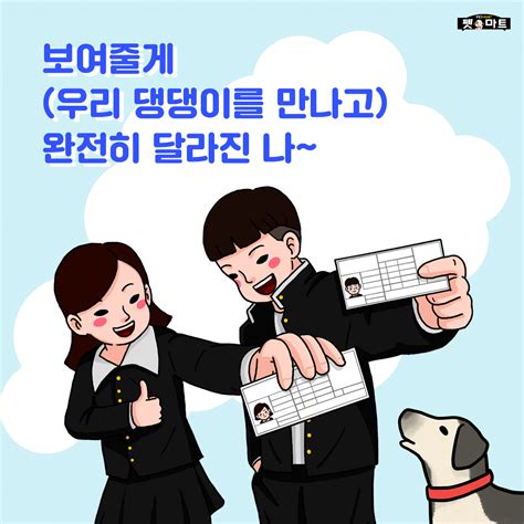 펫마트 보여줄게 우리 댕댕이를 만나고 완전히 달라진 나 펫을위한마트 Petmart