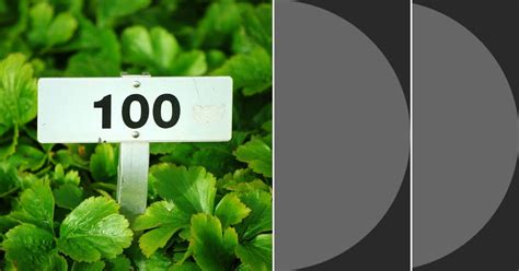 List 100 Followers Curated By Durvesh Shah Medium