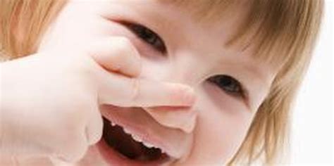 Preschool Books About The Sense Of Smell