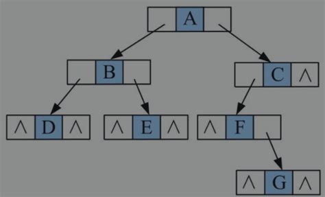 数据结构与算法之树、二叉树（c）以及关于建树为何用二级指针超详细不劝退教程算法和数据结构 Csdn专栏