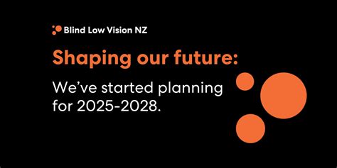 Blind Low Vision Nz Shaping Our Future 2025 2028