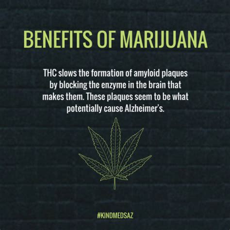 The Relationship Between Medical Cannabis And Alzheimers Disease