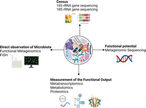 Challenges For Pathologists In Implementing Clinical Microbiome