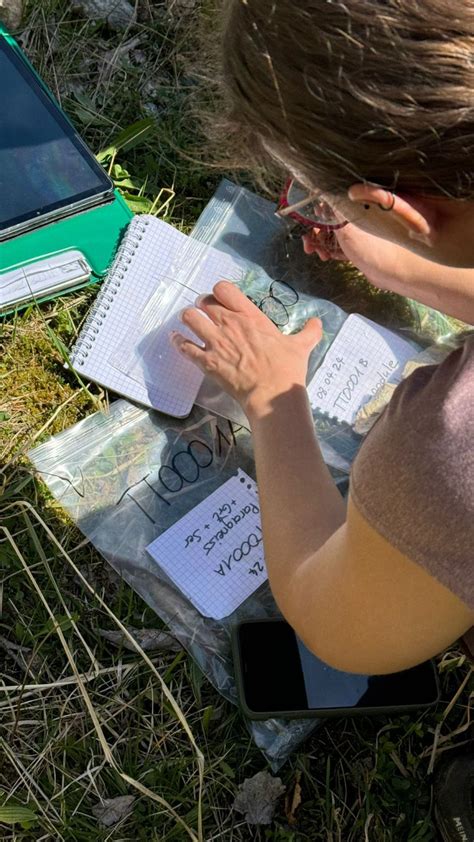 Copper Geology Mineralexploration Mining Ekometall Exploration