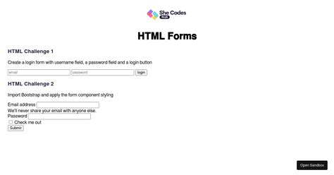 HTML Forms Forked Codesandbox