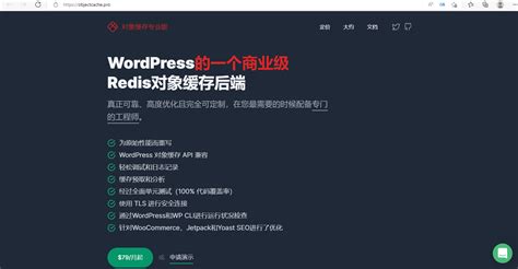 WordPress插件 Redis Object Cache Pro 企业级数据库缓存加速插件 WP帮