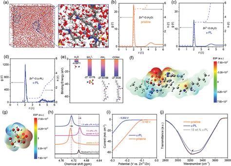 Tuning The Zn²⁺ Solvation Shell And Hydrogen Bond Network Structure Of