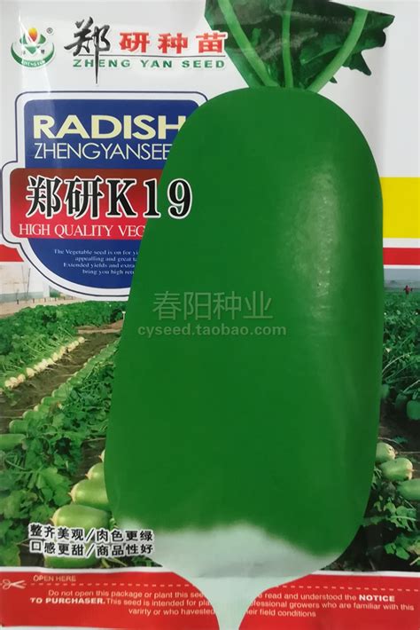 郑研k19萝卜种子青皮青肉口感脆甜水果萝卜种籽高产791萝卜虎窝淘