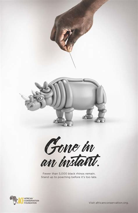 Campaña gráfica para crear conciencia en favor de los animales en