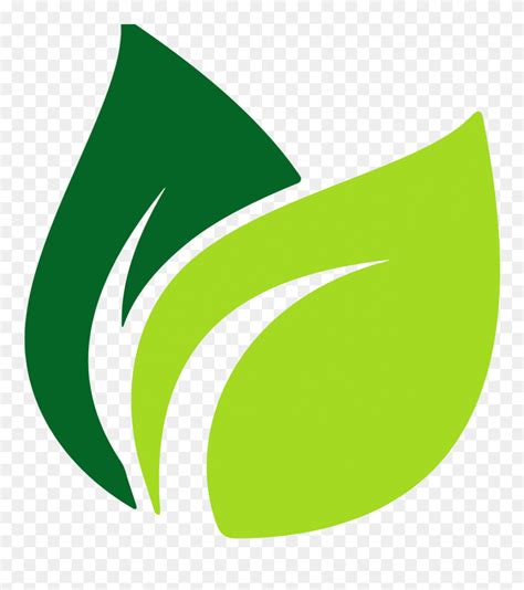 Tea Leaf Vector Free Download