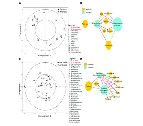 Correlation Circle Plots And Relevance Networks Generated From The Download Scientific