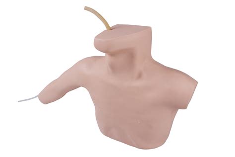 Peripherally Inserted Central Catheterization Picc Model Central