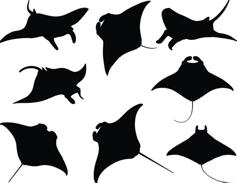 Manta Ray Silhouette On White Background 44771424 Vector Art At Vecteezy