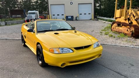 1998 Ford Mustang Svt Cobra Convertible For Sale At Auction Mecum