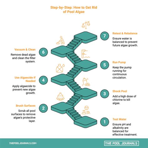 The Ultimate Guide To Pool Algae Types Treatment Prevention
