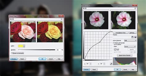 CorelDRAW ile fotoğraflarda renk düzenlemesi için kullanabileceğiniz araçlar Bölüm Eti