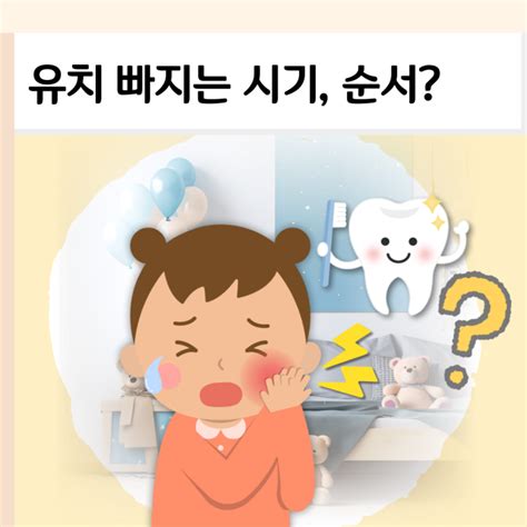 유치 빠지는 순서 시기 송곳니 어금니 빠지는시기 영구치 나는시기 네이버 블로그