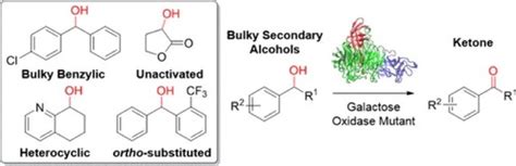 Biocatalysis Oxidase Team Collaboration Yee Hwee Lim
