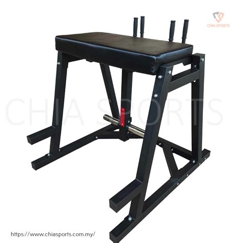 Reverse Hyperextension Machine Back Hamstring Glutes Lower Spine