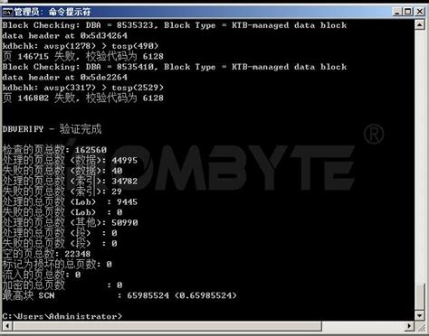 数据库数据恢复 oracle数据库文件出现坏块的数据恢复案例 知乎