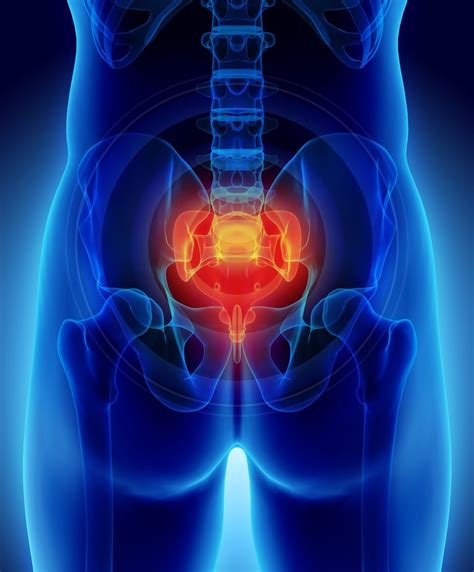 Sacroiliac Joint Vs Low Back Pain Posture Pro Physio