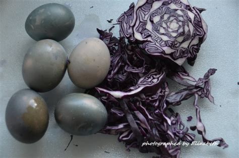 Easter Photographed By Elizabeth