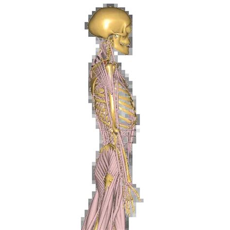 Validation — Ammr V3 1 3 Documentation