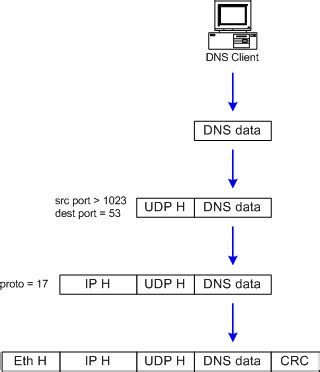 Index Of Thomam Net1 Diagrams Udp Example