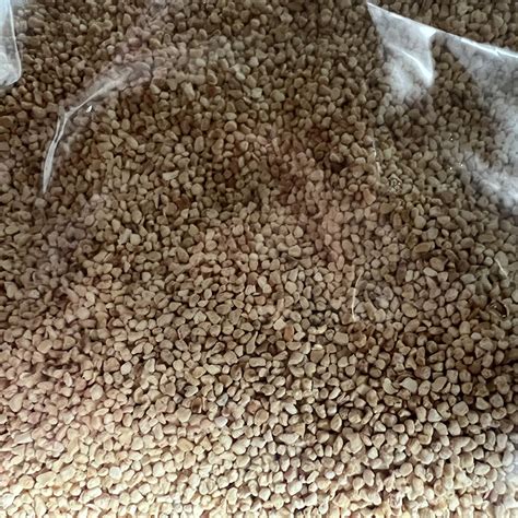 Walnut Shell Manufacturers Manufacturing Company Suppliers And China