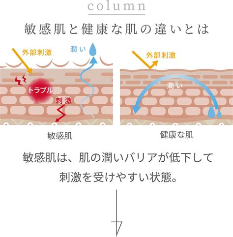 わたしの肌は、はれ、時々、くもり。 敏感肌に、もっと自由を。atodelie Naris Online Store