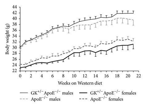 Body Weight Development Of The Gk−apoe−− Mice Compared With The