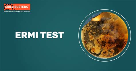 Ermi Test All Ermi Molds And How To Interpret The Results