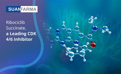 Ribociclib Succinate Transforming Hormone Receptor Positive Breast Cancer Care