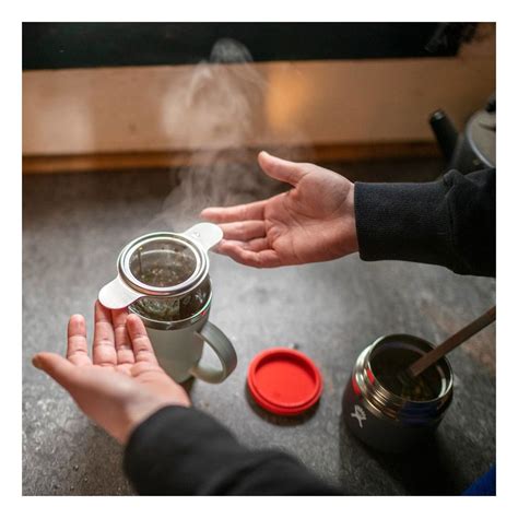 Hydro Flask Tea Infuser Goji Campmor