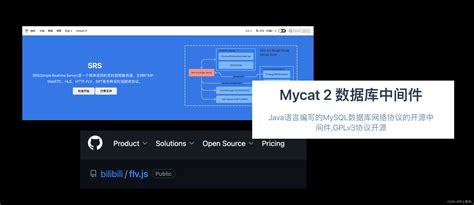 开源项目九死一生，但很多程序员坚持开源？？开源能活下去吗 Csdn博客